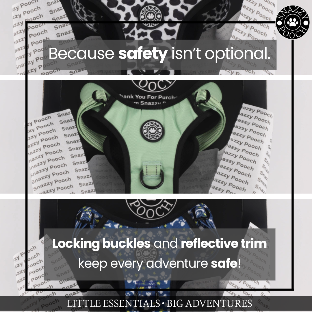 Personalised Dog Harnesses & Collars UK | Snazzy Pooch